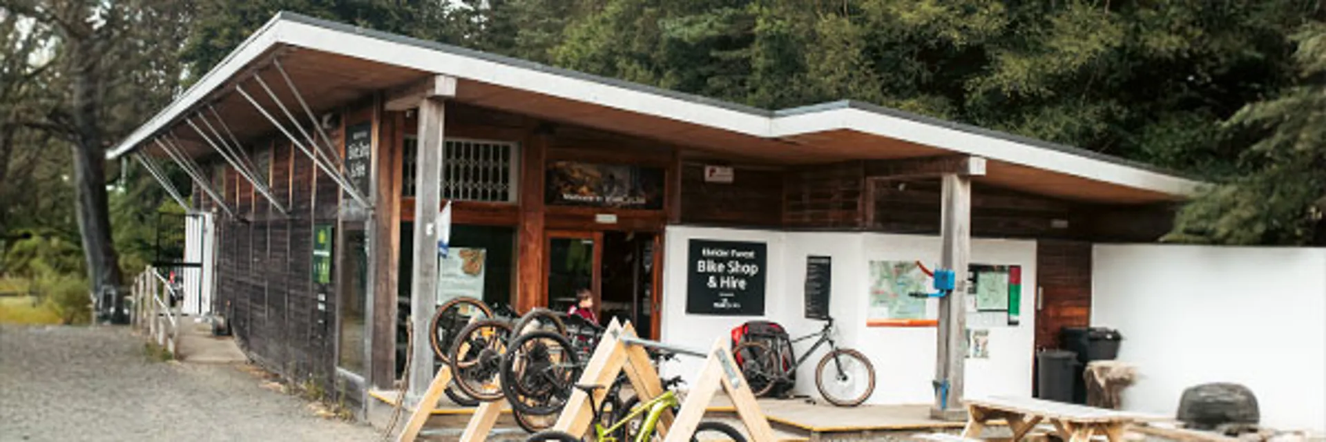 Team Cycles | kielder forest Bike Hire