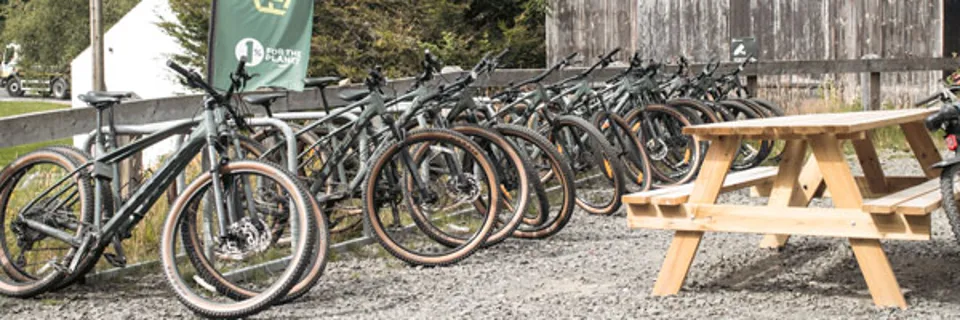 Team Cycles | kielder forest Bike Hire