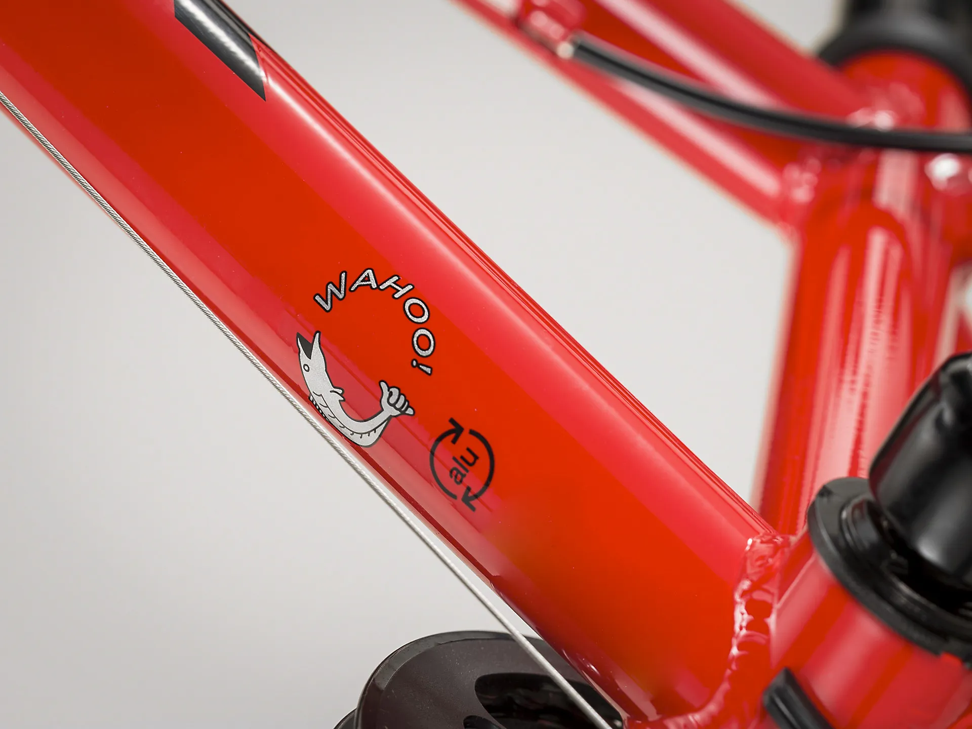 TREK Wahoo 20 inch Wheel Kids Bike Viper Red and Black